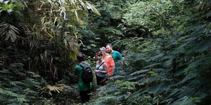 Mt. Merapi Majesty: Soft Trek and Botanic Village Tour - Frequently Asked Questions (FAQs)