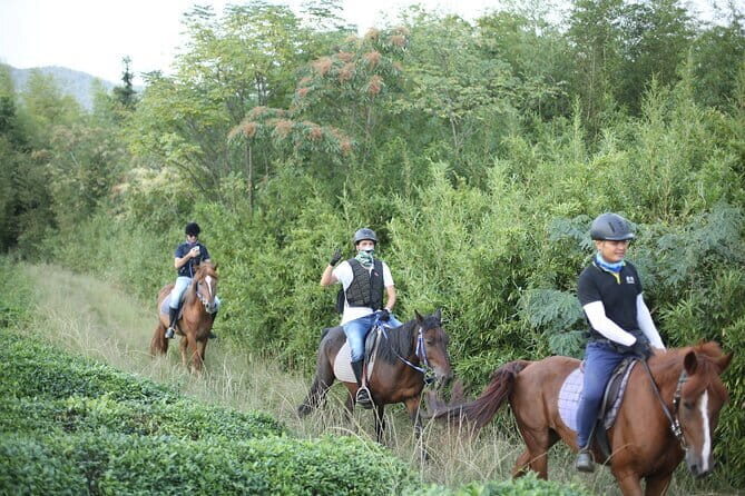 Mt Mogan Horse Riding - Half-day Outdoor Trail Riding near Hangzhou - Key Points