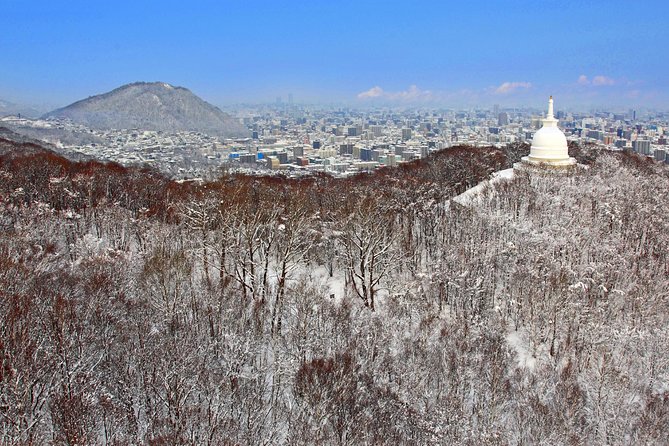 Mt. Moiwa Ropeway / Moriscar Ticket - Reviews and Ratings