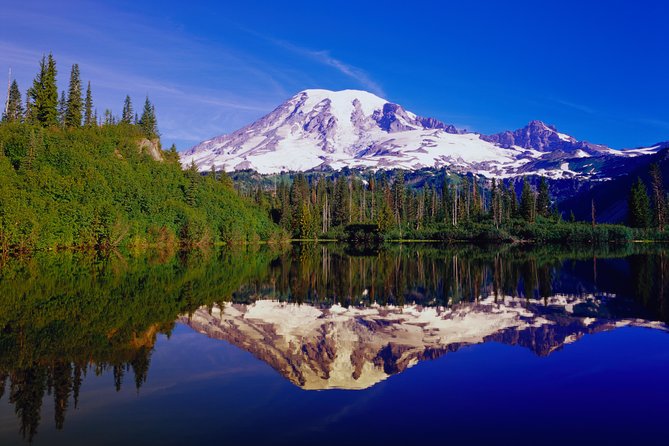 Mt. Rainier Day Tour from Seattle - Preparing for Your Day
