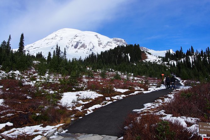Mt. Rainier Day Tour from Seattle - Who Will Love This Tour?