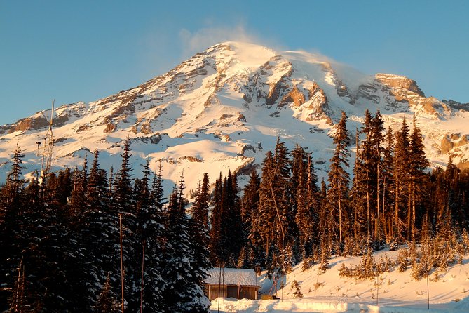 Mt. Rainier National Park Day Tour from Seattle - Key Points