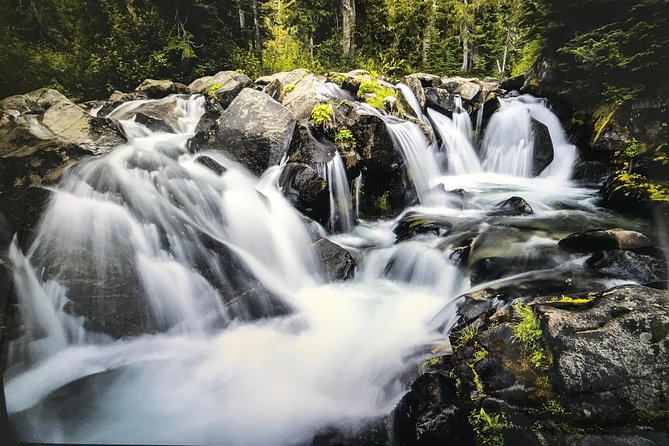 Mt. Rainier National Park Day Tour from Seattle - FAQs