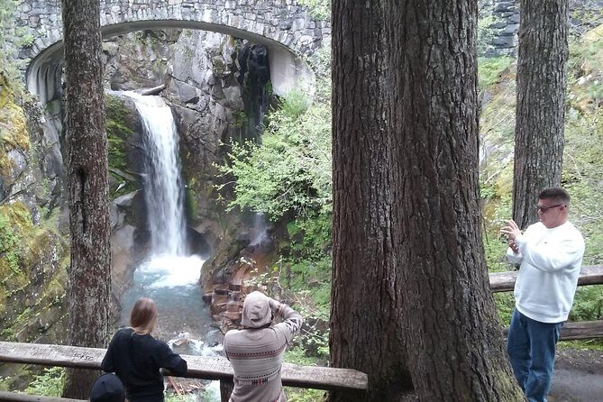 Mt Rainier Private Tour Experience in SUV - What the Reviews Say