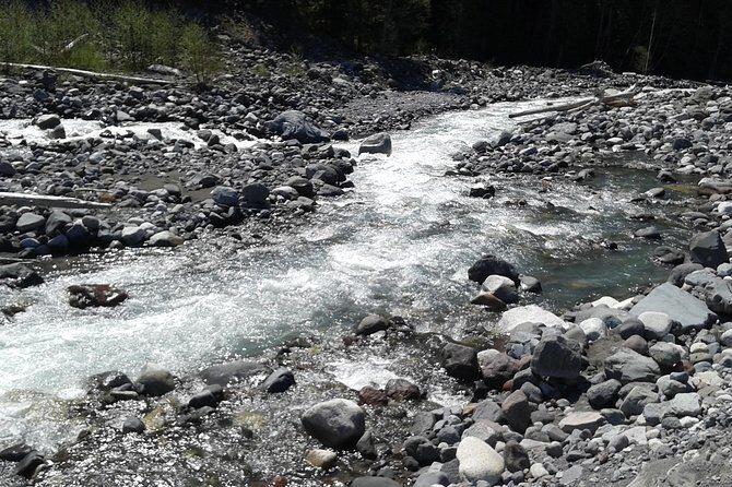 Mt Rainier Private Tour Experience in SUV - FAQs