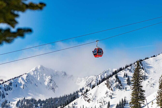 Mt. Rainier tour with Gandola ride at Sunrise and Paradise - Key Points