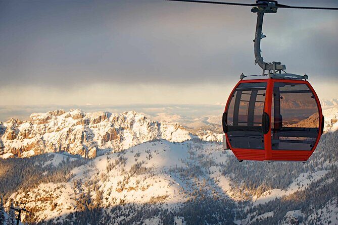 Mt. Rainier tour with Gandola ride at Sunrise and Paradise - What the Reviews Say