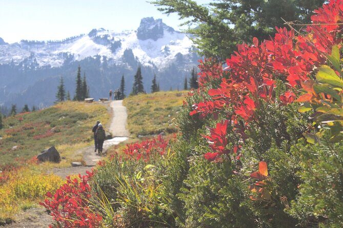 Mt. Rainier tour with Gandola ride at Sunrise and Paradise - Who Will Enjoy This Tour?