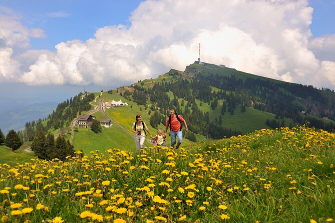 Mt Rigi and Lucerne Day Trip From Zurich With Boat Ride - Transportation and Logistics