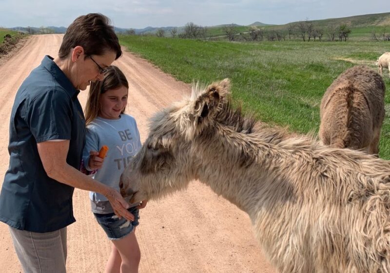 Mt Rushmore, Crazy Horse, Custer State Park Monument Tour - FAQ