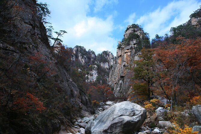 Mt. Seorak & The Tallest Ginko Tree at Yongmunsa - Key Points