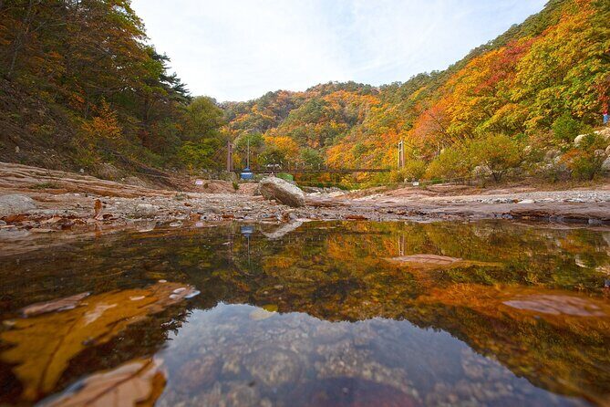 Mt. Seorak & The Tallest Ginko Tree at Yongmunsa - Analyzing the Value