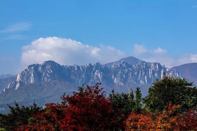 Mt. Seorak & The Tallest Ginko Tree at Yongmunsa - Practical Tips for Travelers