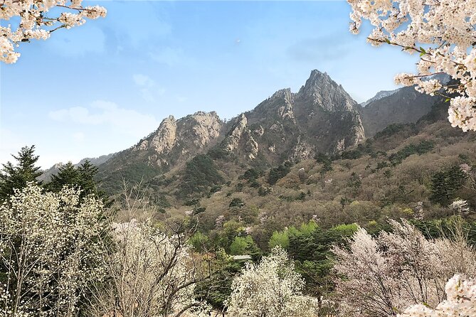 Mt. Seorak+Nami Island+Garden of Morning Calm Day Trip from Seoul - What’s Included and What to Keep in Mind