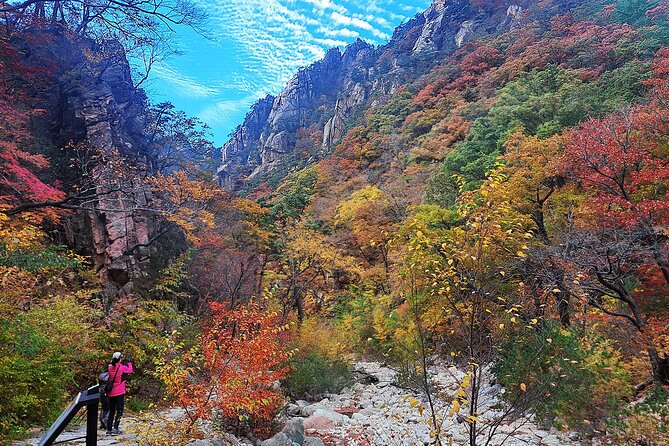 Mt. Seorak+Nami Island+Garden of Morning Calm Day Trip from Seoul - The Value of the Experience