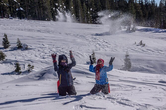 Mt. Shasta Snowshoeing Tours - The Experience: What to Expect on This Snowshoeing Tour
