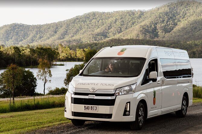 Mt Tamborine Shuttle Service - Gold Coast Return Transfer - What to Expect: An Easy and Scenic Journey