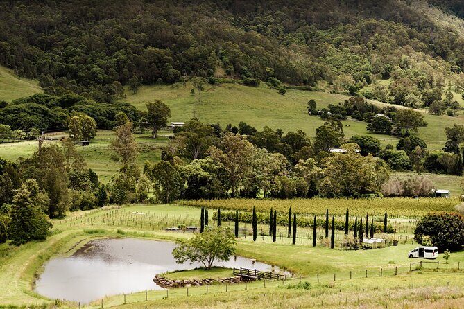 Mt Tamborine Shuttle Service - Gold Coast Return Transfer - The Sum Up: Who Will Appreciate This Tour?