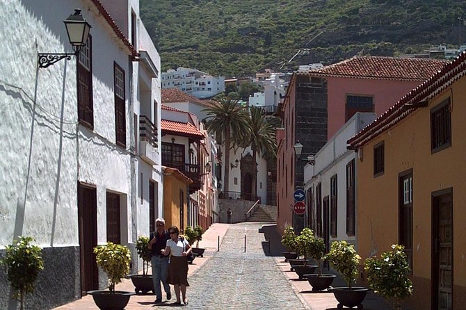 Mt. Teide and Masca Valley Tour in Tenerife - Traveler Recommendations and Requirements