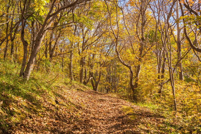 Mt. Usu: Hike to the Crater and See the Stunning Lake Toya! - Marveling at the Panoramic Views