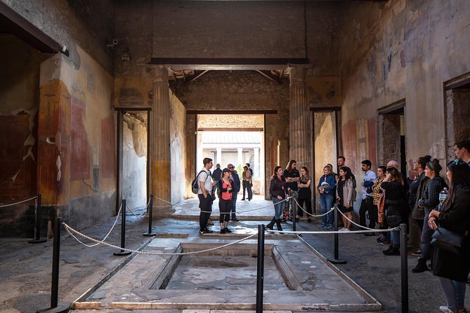 Mt. Vesuvius and Pompeii Day Trip From Naples All Inclusive - Entrance Tickets and Costs