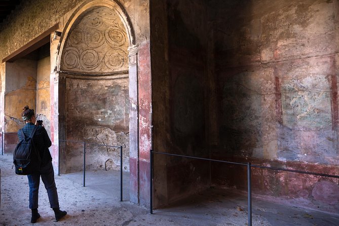 Mt. Vesuvius and Pompeii Day Trip From Naples All Inclusive - Tour Accessibility and Requirements