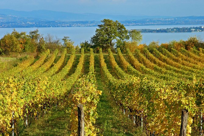 Mt Vesuvius - Transportation: Comfort and Convenience