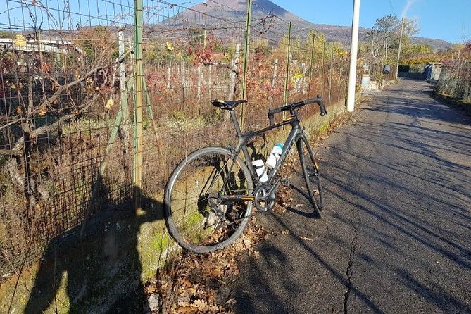Mt Vesuvius E-Bike Tour - Guided Tour