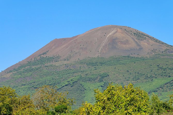 Mt Vesuvius Half-Day Trip From Naples - Reviews and Feedback