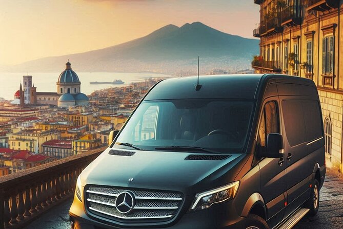 Mt. Vesuvius, Pompeii & Sorrento day-trip in 8 hours (privately) - Key Points