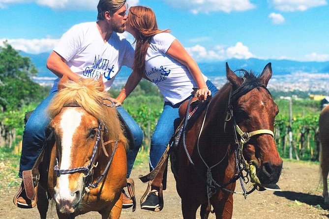 Mt. Vesuvius Wine Tasting and Lunch Experience From Pompeii - Accessibility and Special Requirements