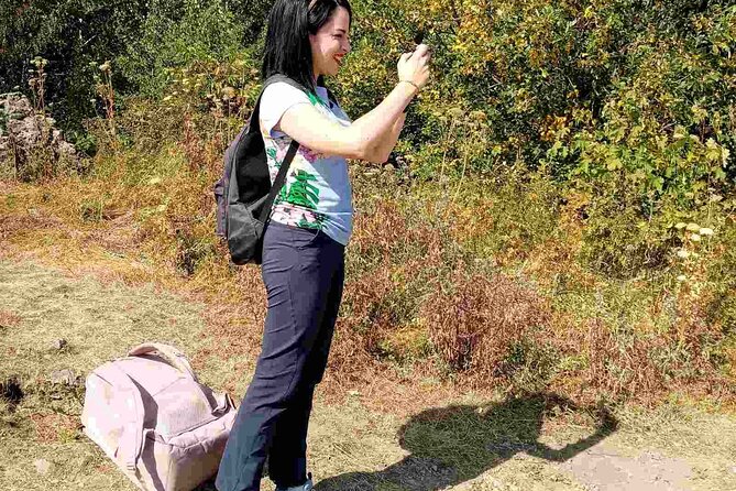 Mt. Vitosha and Boyana Waterfall Hiking Tour From Sofia - Tour Inclusions and Logistics