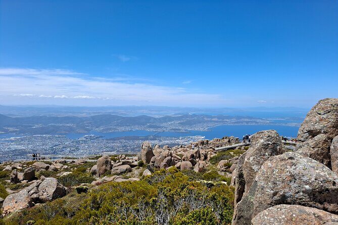 Mt Wellington Hobart Shore Excursion - Why Youll Love the Views