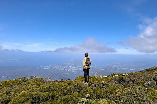 Mt Wellington Hobart Shore Excursion - Who Should Consider This Tour?