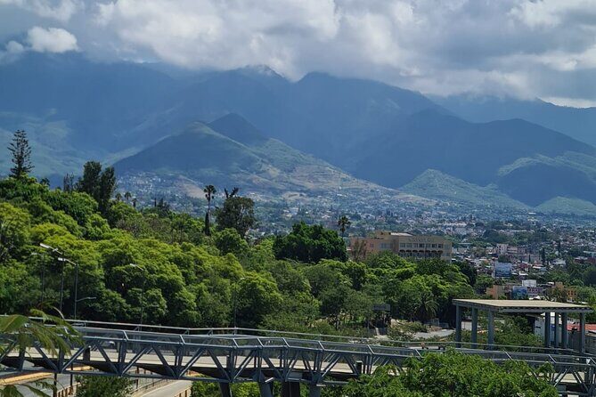 MTB Bike Tour: Enduro to Cerro del Fortín (Black Diamond trails) - Key Points