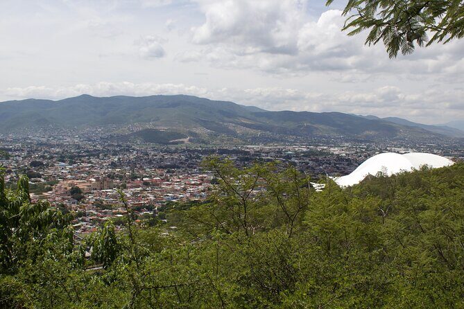MTB Bike Tour: Enduro to Cerro del Fortín (Black Diamond trails) - Why This Tour Is Worth Considering