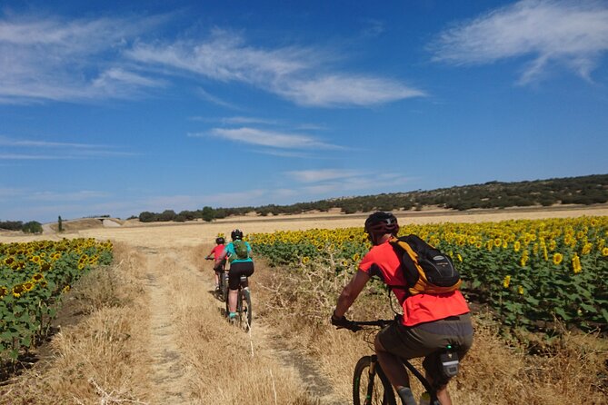MTB (Self-Guided) Setenil de las Bodegas - 30km Easy - Practical Details and Tips