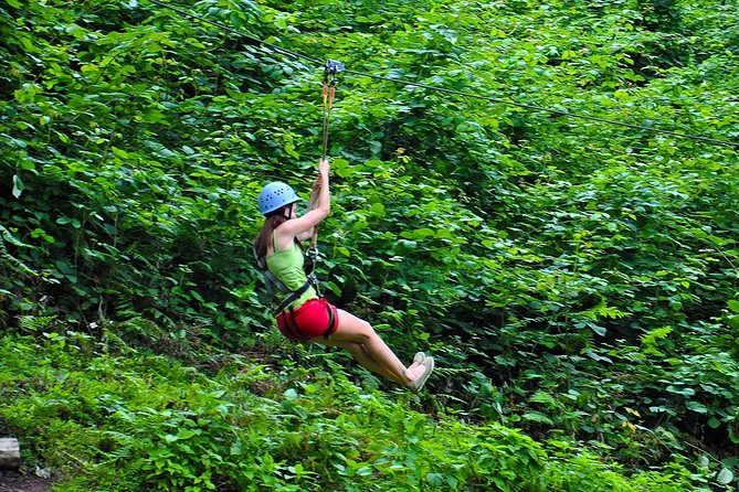 Mtirala National Park Tour - Small-Group Experience