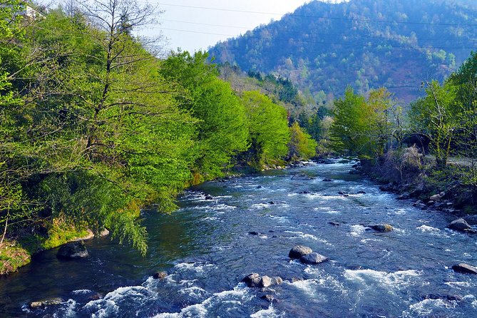 Mtirala National Park Tour - Accessibility and Participation