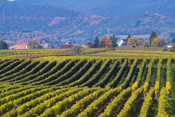 Mtskheta - Jvari Private Tour / UNESCO Sites - FAQs