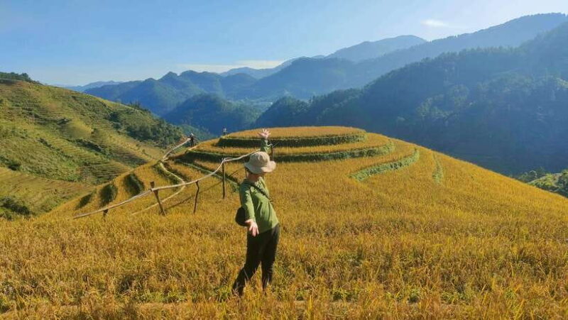 Mu Cang Chai: Highlights 3-hour Guided Hiking Trip - Key Points
