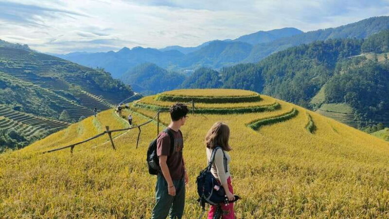 Mu Cang Chai: Highlights 3-hour Guided Hiking Trip - The Highlights: Why This Tour Shines