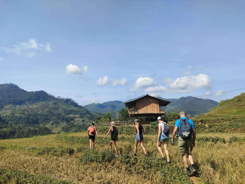 Mu Cang Chai: Highlights 3-hour Guided Hiking Trip - Transportation and Logistics