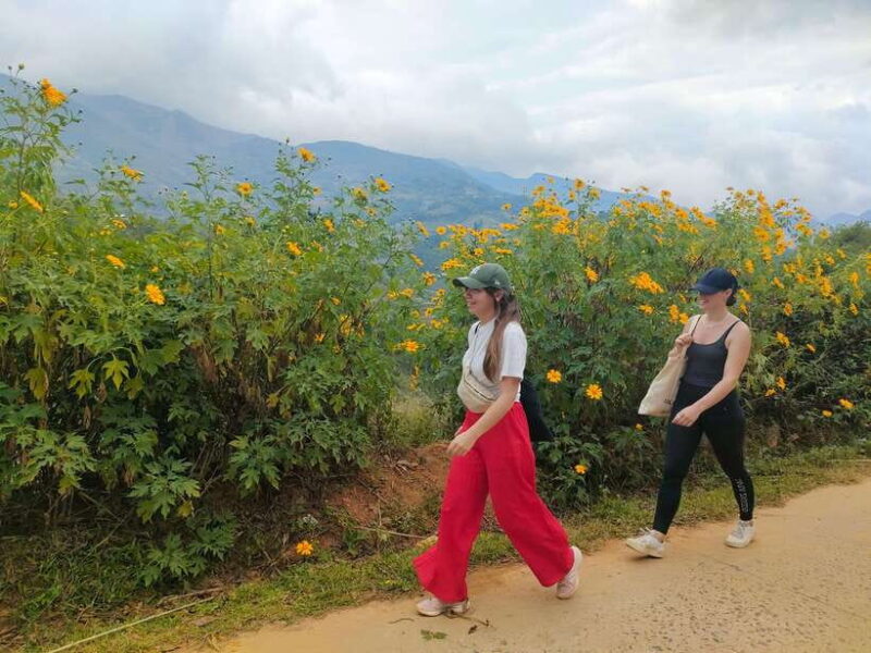 Mu Cang Chai: Highlights 3-hour Guided Hiking Trip - Weather and Preparation