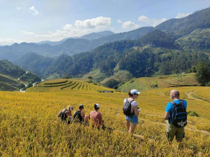Mu Cang Chai: Highlights 3-hour Guided Hiking Trip - Reviews and Real Experiences