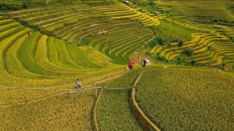 Mu Cang Chai: Private Car 1 day Tour with Local Guide - Who Will Love This Tour?