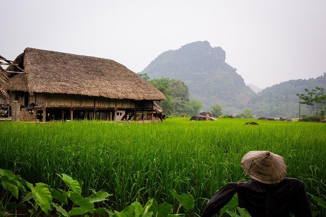 Mu Cang Chai trekking 4 days 3 nights - A Detailed Look at the Mu Cang Chai Trekking Tour