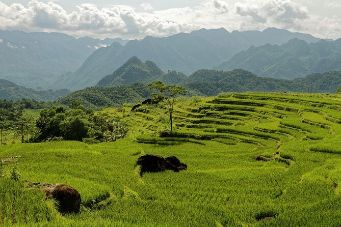Mu Cang Chai trekking 4 days 3 nights - Final Thoughts: Is This Tour Right for You?