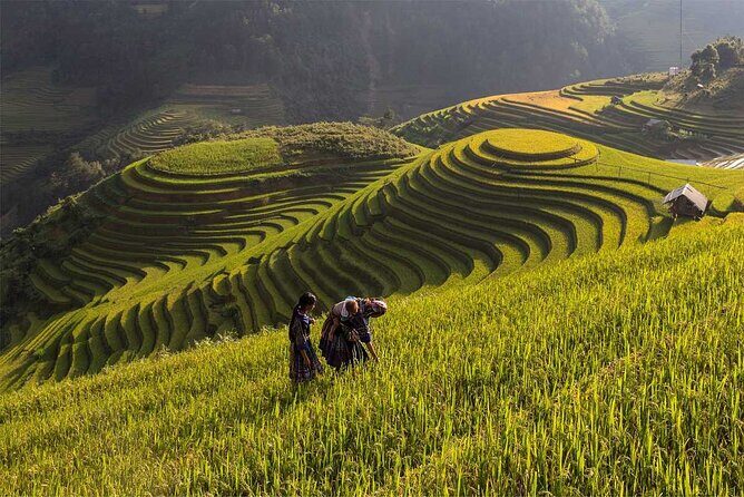 Mu Cang Chai Trekking Tour 3 Days 2 Nights - Key Points
