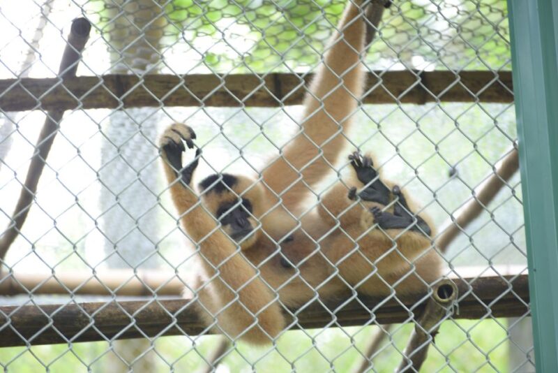 Mua Caves, Tam Coc, and Cuc Phuong National Park 2-Day Tour - The Bottom Line: Who Will Love This Tour?